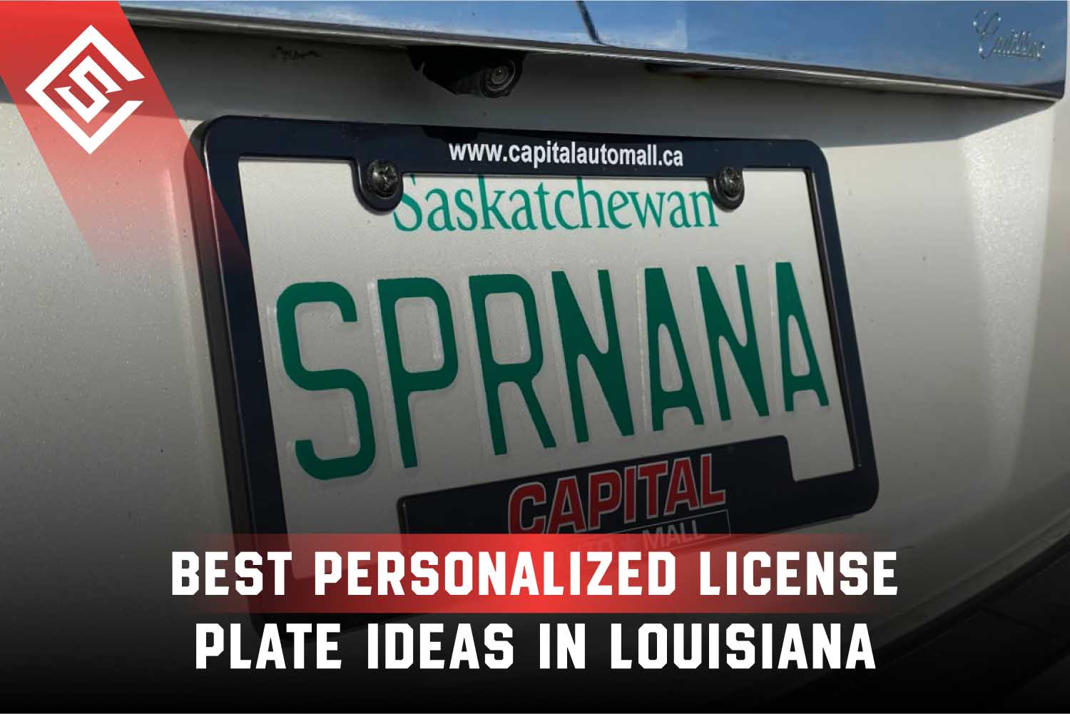 Best Personalized License Plate Ideas in Louisiana – Seat Cover Solutions
