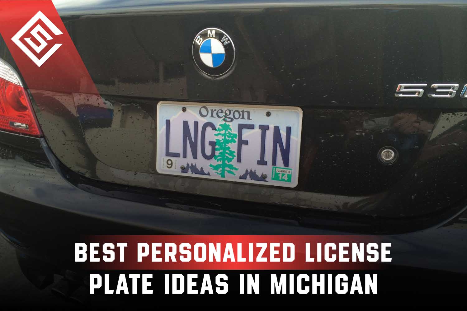Best Personalized License Plate Ideas in Michigan – Seat Cover Solutions