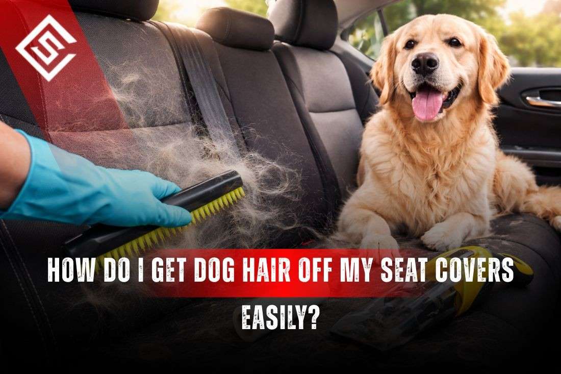 How to Get Dog Hair Off Seat Covers and Reduce Constant Cleaning Time ...